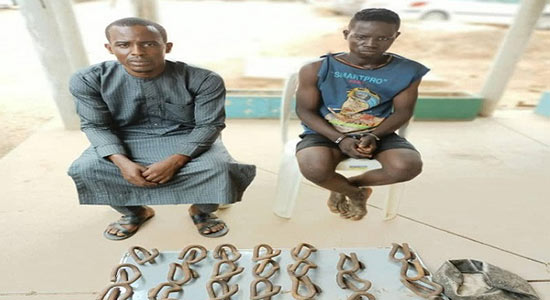 Police Arrest Two Suspected Rail Vandals In Oyo - TheNigeriaLawyer