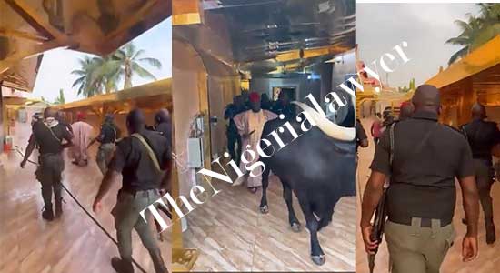 [VIDEO] Force PRO Condemns Viral Video Of Seven Policemen Escorting Man ...