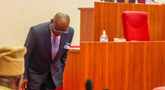 Ministerial Screening: Tinubu Won’t Regret Nominating Me As Minister ...