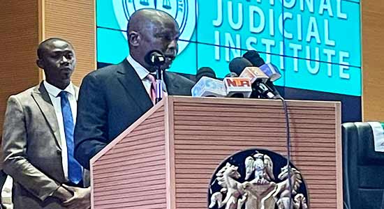 States Grappling With Local Government Autonomy Implementation, Says ...