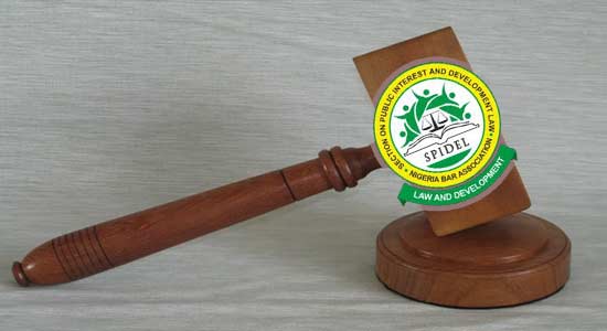 NBA-SPIDEL Drags Police IG To Court Over Alleged Illegal Vehicle ...