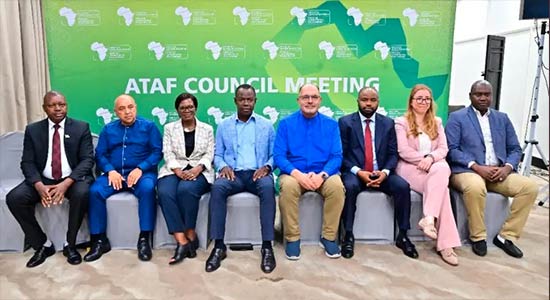 FIRS Chairman Calls For African Solutions To Continent's Challenges ...