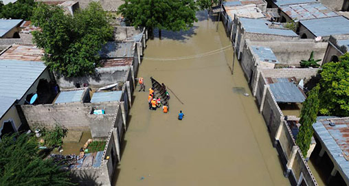 Borno Museum Park Raises Alarm Over Deadly Animal Incursion Following ...