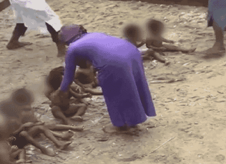 Home - TheNigeriaLawyer