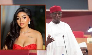 “She Must Get Help” — Sen. Nwoko Blames Substance Abuse For Marital Crisis With Regina Daniels ...